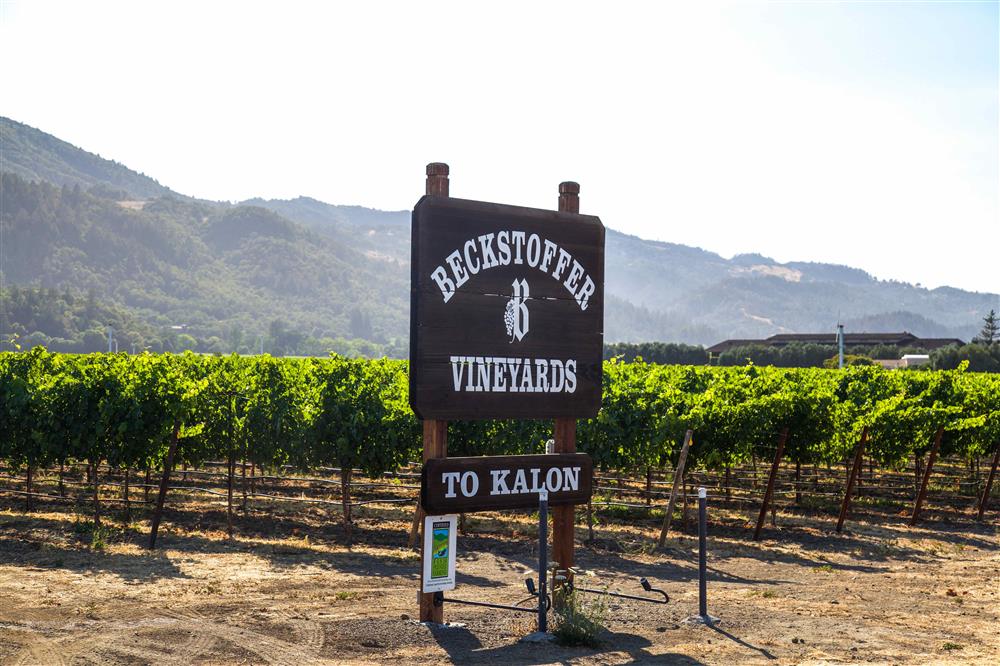Beckstoffer "To Kalon" Vineyard | Arrow&Branch